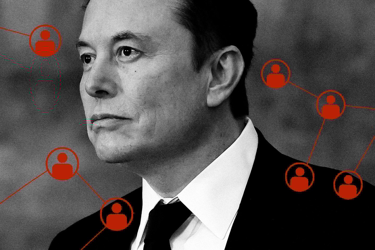 doge team backgrounds